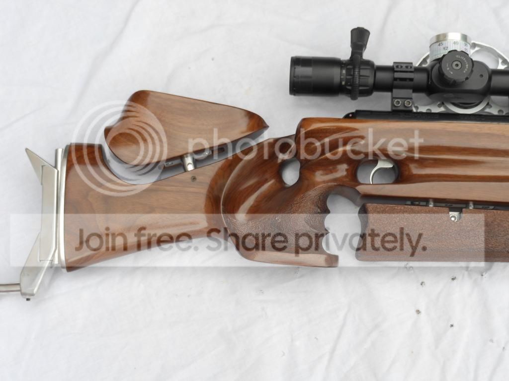 air arms tx200 custom/ft stock