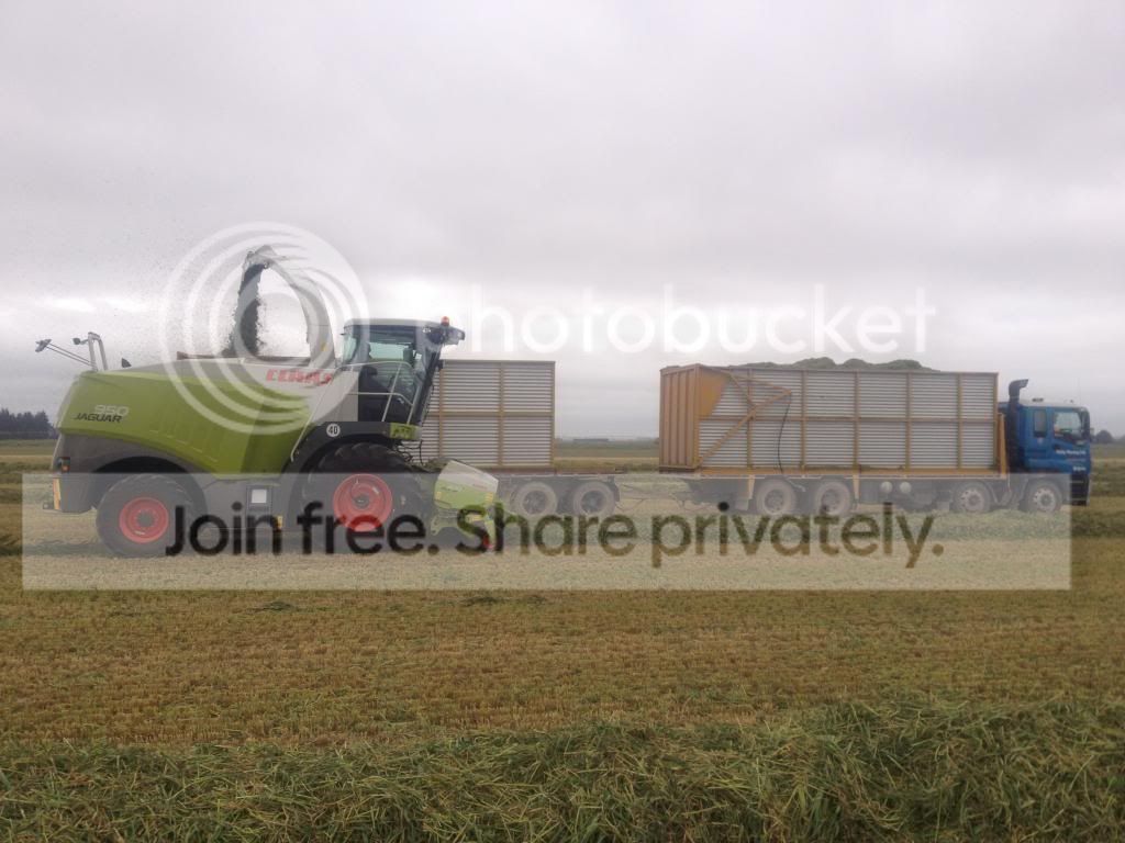 silage nz | The Combine Forum