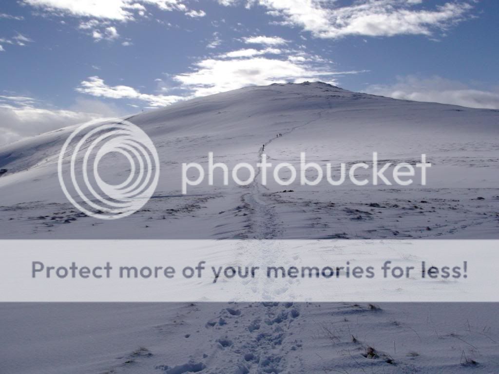 TR Stybarrow Dodd and Raise Sat 1 Mar