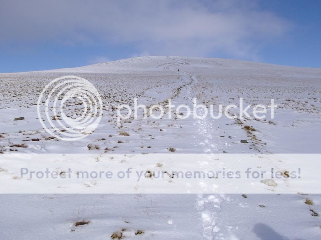 TR Stybarrow Dodd and Raise Sat 1 Mar